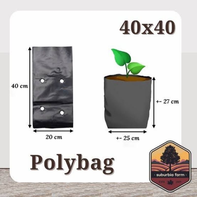 Jual polibag 40X40 cm cocok untuk bibit tanaman isi 50 pcs / polibag ...