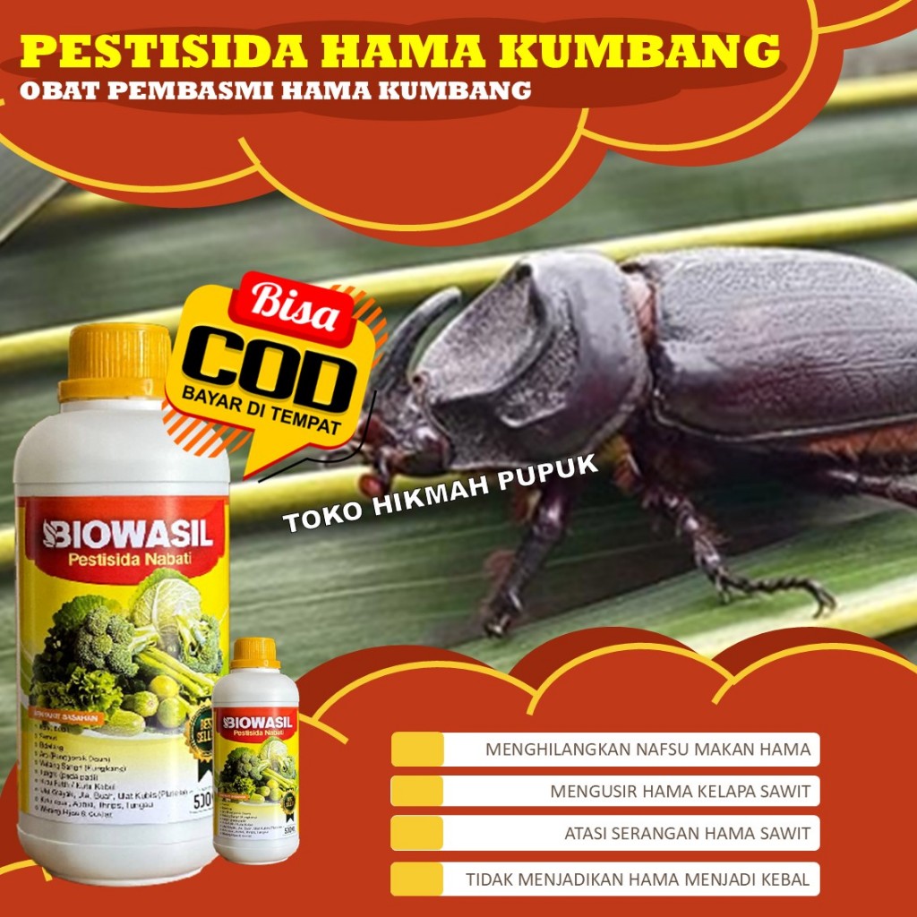 Jual Pupuk Hama Kumbang Tanduk Pada Tanaman kelapa sawit Paling Bagus ...