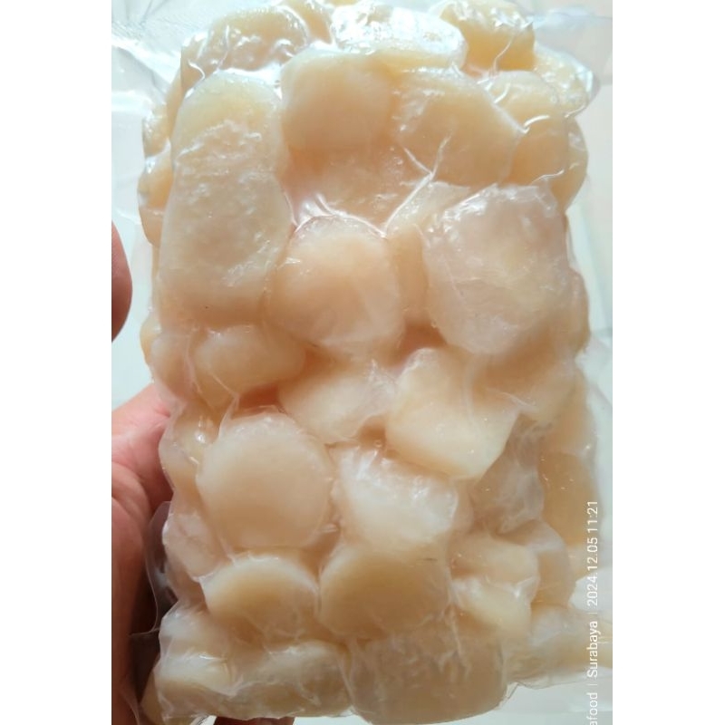 Jual Daging Scallop Frozen 500gram | Shopee Indonesia