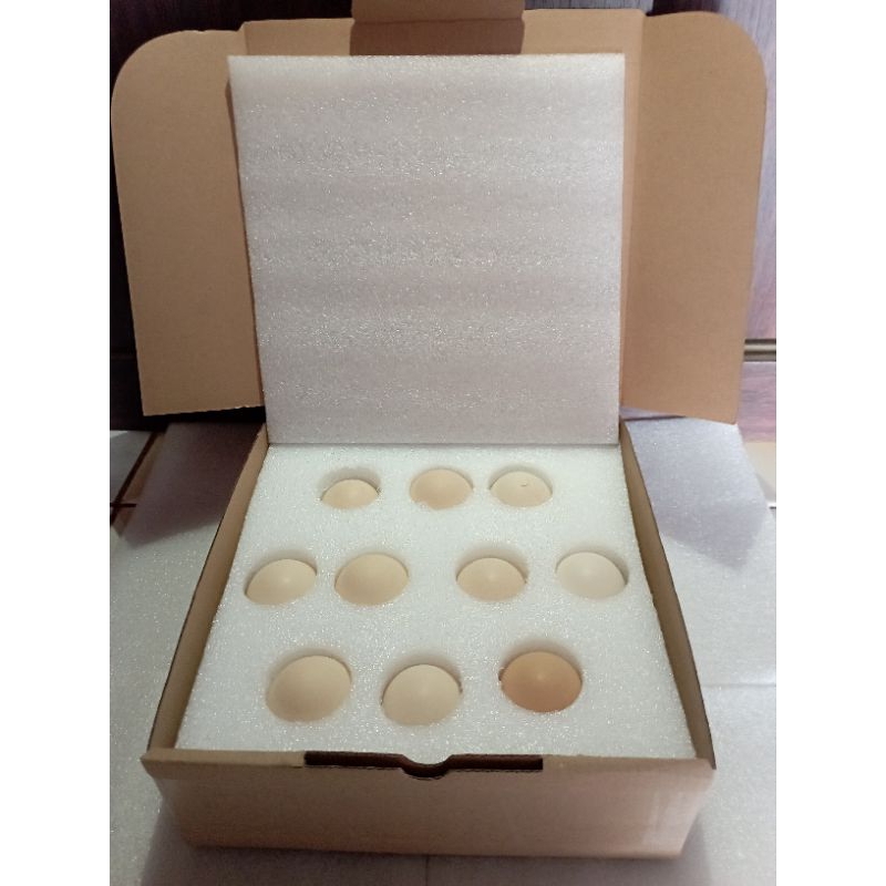 Jual box dan foam untuk packing telur | box packing telur | box telur ...