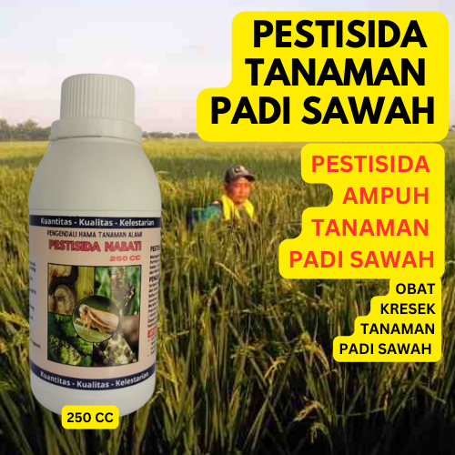 Jual Pestisida Obat Wereng/Pestisida Obat Sundep/Pestisida anti Hawar ...