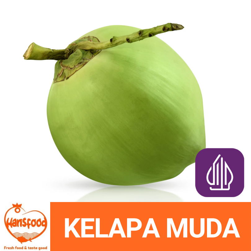 Jual KELAPA MUDA FRESH PER BUAH | Shopee Indonesia