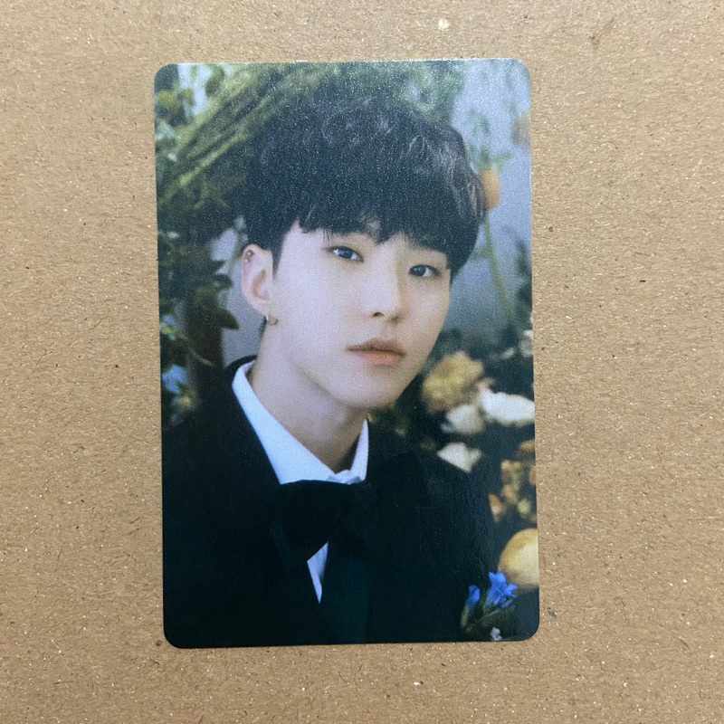 Jual OFFICIAL PC HOSHI CARVER FML SEVENTEEN CARAT VERSION | Shopee ...