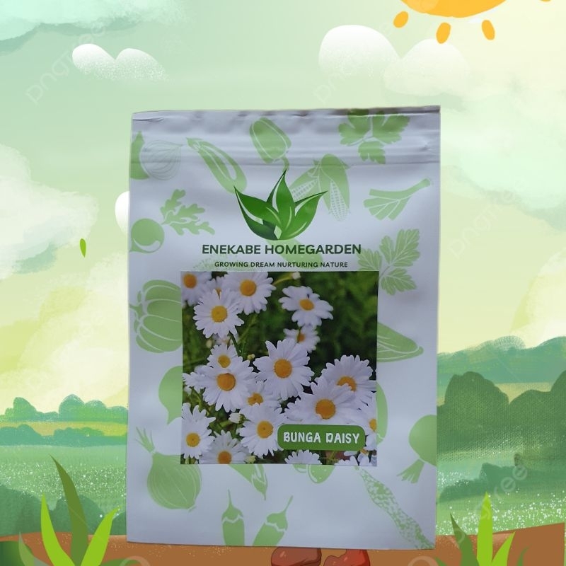Jual 100 BUTIR BENIH BUNGA MOON DAISY (KEMASAN ORIGINAL) | Shopee Indonesia