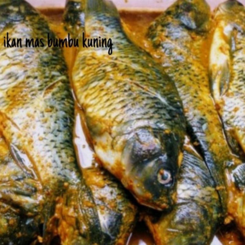 Jual Ikan mas prozzen bumbu kuning 500 gr rp 28 000 | Shopee Indonesia