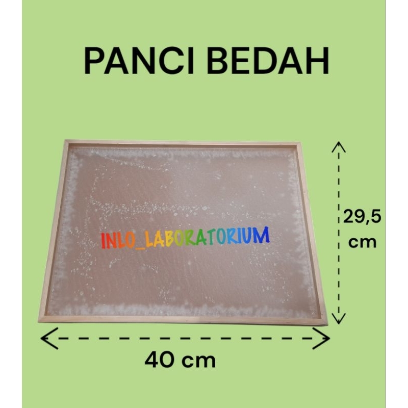Jual Papan Bedah/Baki Bedah/Alas Bedah Hewan Laboratorium | Shopee ...