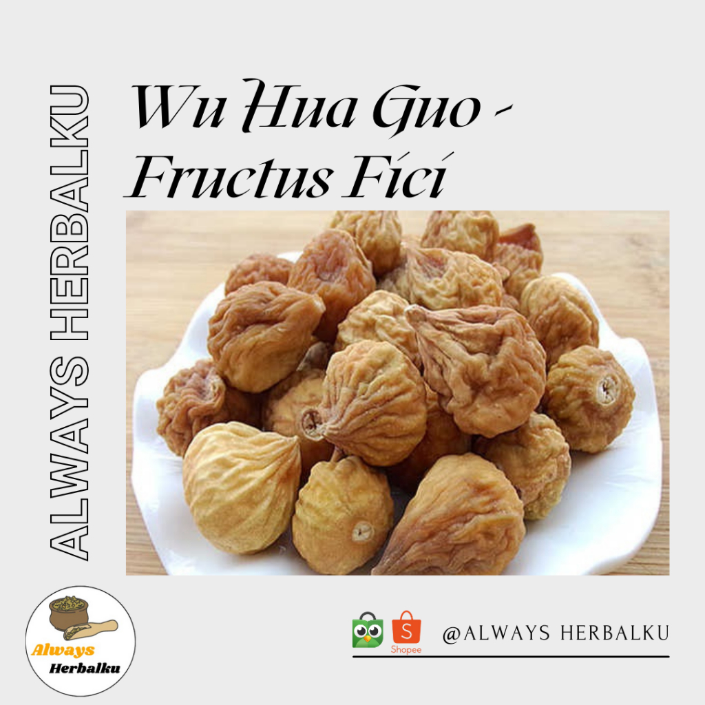 Jual Wu hua guo / fructus figi / fig (500 gram) | Shopee Indonesia