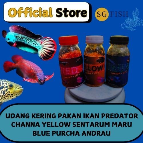 Jual UDANG KERING PAKAN IKAN PREDATOR CHANNA YELLOW SENTARUM MARU BLUE ...