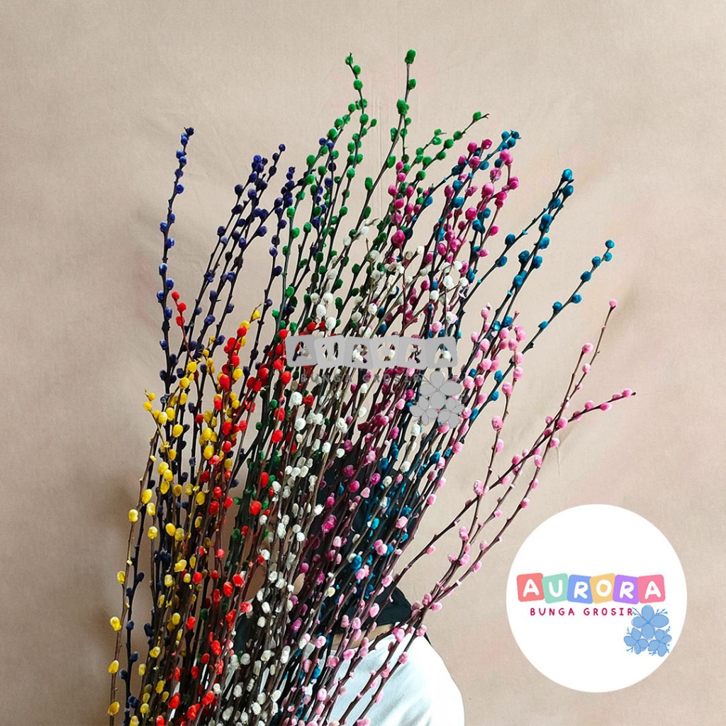 Jual (9pcs) 120cm Dried Pussy Willow LARGE 2023 Bunga Imlek Dekorasi ...