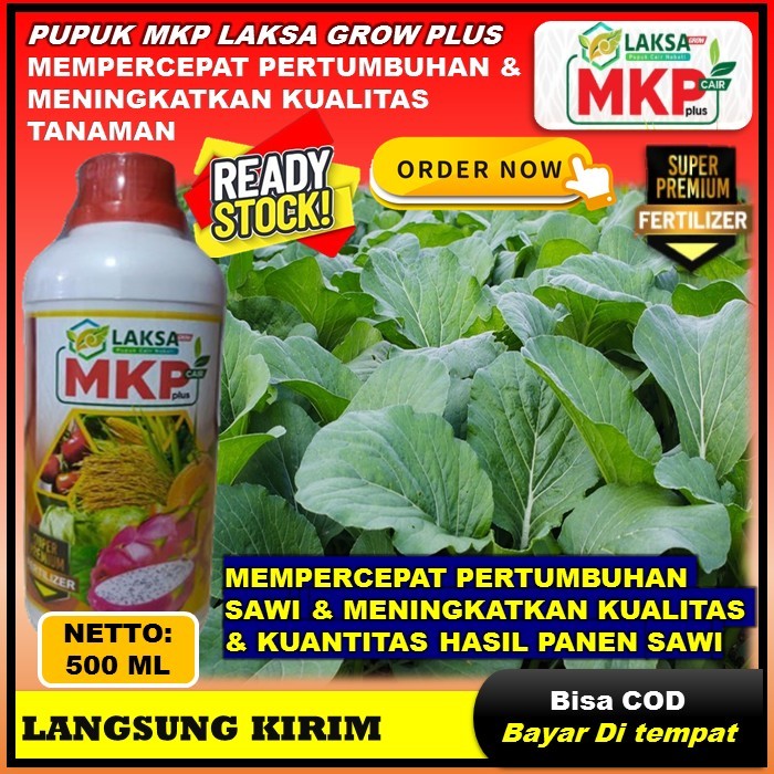 Jual Promo Cod Pupuk Pelebat Tanaman Sawi Anti Rontok – Pupuk Paling Ampuh Penyubur Tanaman Sawi ...