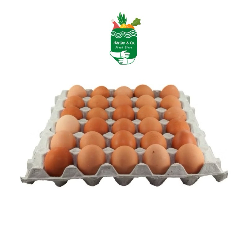 Jual Telur ayam segar 1 tray 30 butir (telur surabaya) | Shopee Indonesia