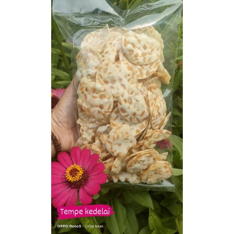 Jual tempe bulat kedelai - cut intan snack | Shopee Indonesia