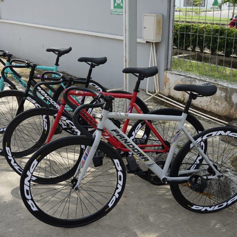 Jual Sepeda Fixie Hybrid Element Police Toronto FX Pandora | Shopee ...