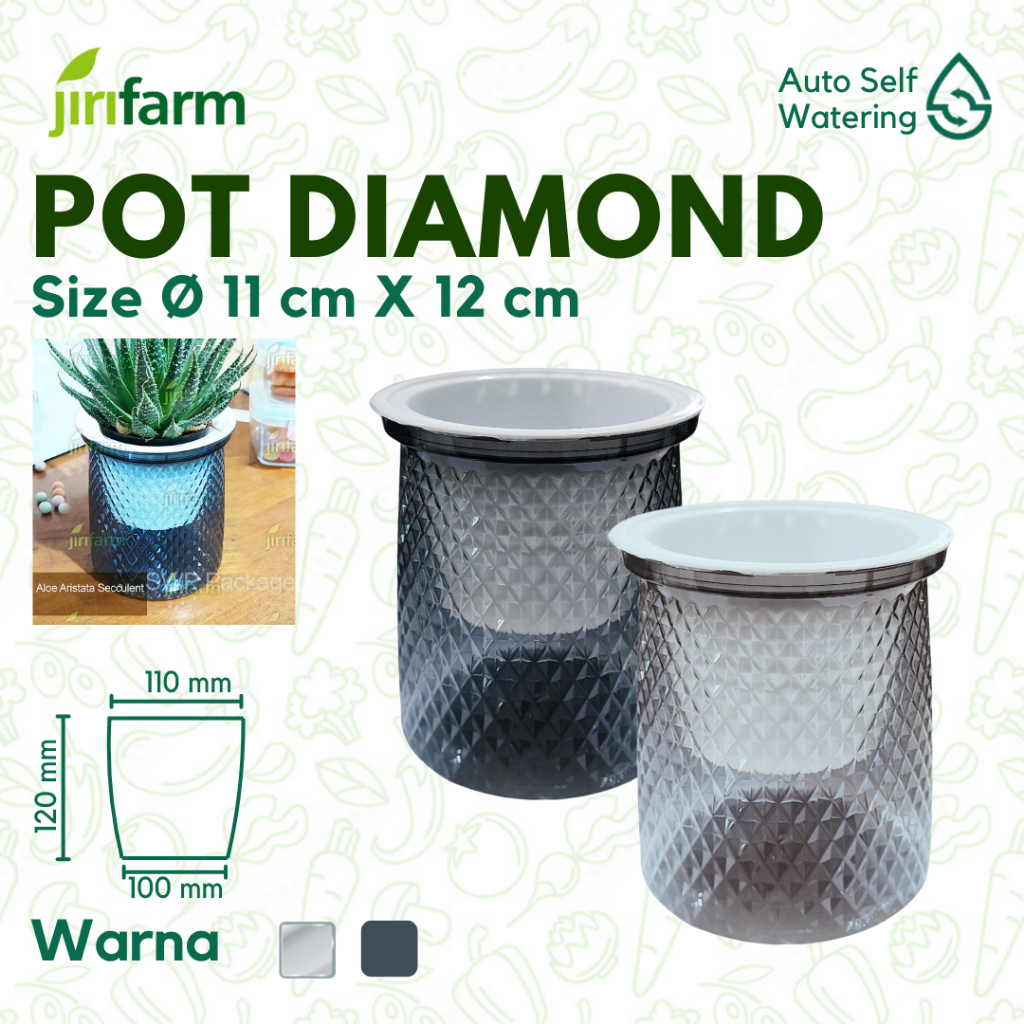 Jual JIRIFARM - Pot Bunga Diamond Transparan Diameter 11 - Tanaman Hias ...