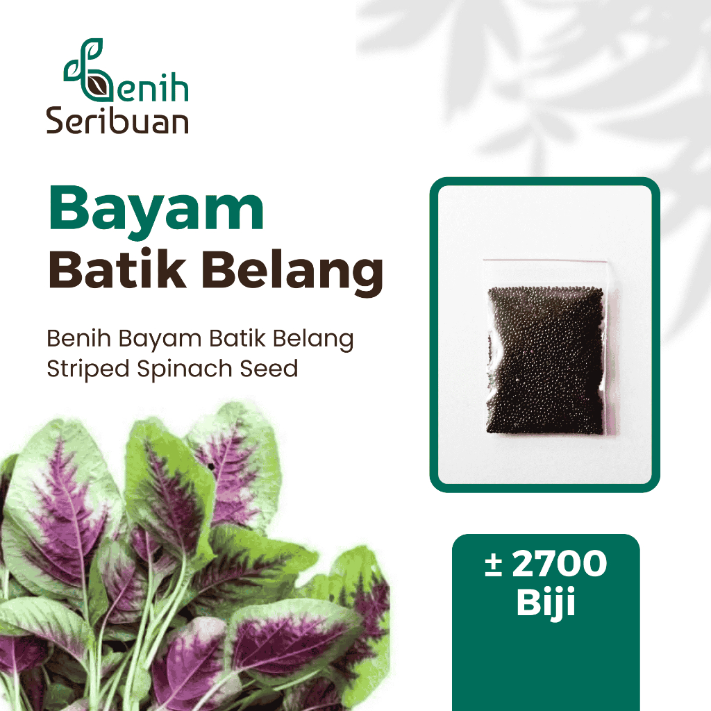 Jual 2700 Benih Bibit Bayam Batik Belang Sayuran Loreng Unggul - Bibit ...