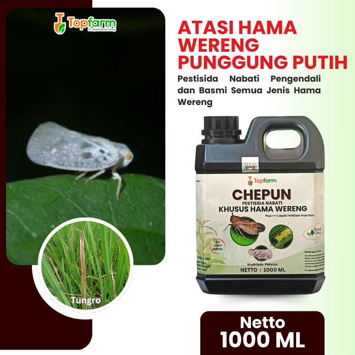 Jual Insektisida Topfarm / Racun Wereng Paling Ampuh / Obat Pertanian ...