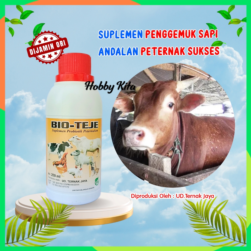 Jual Vitamin Sapi Penggemukan Vitamin Sapi Nafsu Makan Daya Tahan Tubuh ...