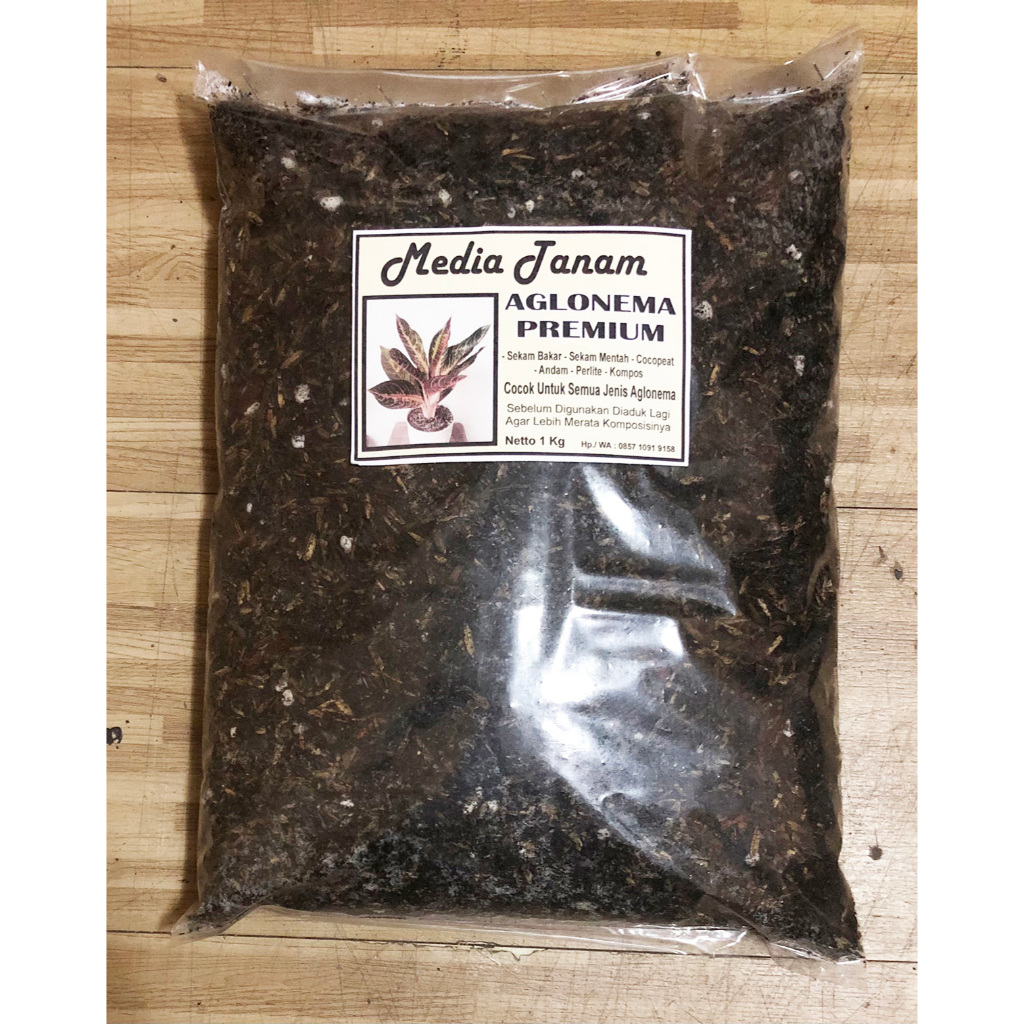 Jual MEDIA TANAM AGLONEMA PREMIUM | Shopee Indonesia