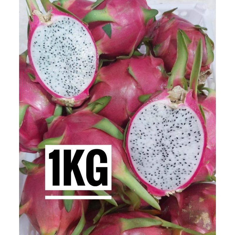 Jual Buah Naga Putih exotic | Shopee Indonesia