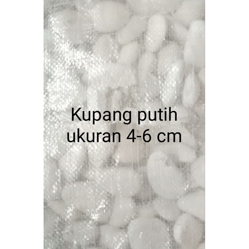 Jual Batu koral Kupang putih isi 10 kg | Shopee Indonesia