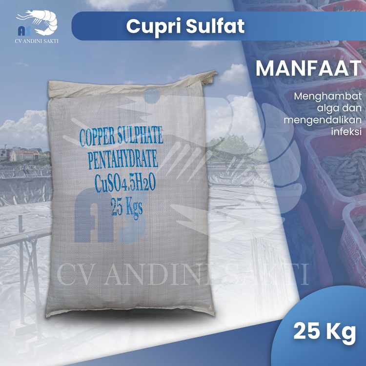 Jual Cupri Sulfat kemasan 25Kg | Shopee Indonesia