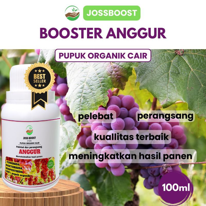 Jual BOOSTER ANGGUR, pupuk organik cair ANGGUR, melebatkan dan memaksimalkan hasil panen kemasan ...