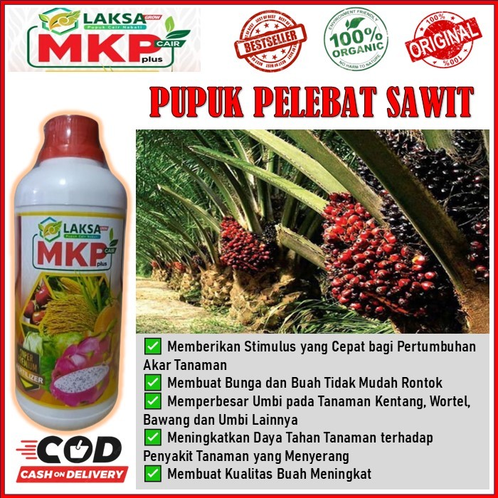 Jual MKP laksa grow pelebat kelapa sawit - pupuk organik memperbanyak kelapa sawit - MKP pupuk ...