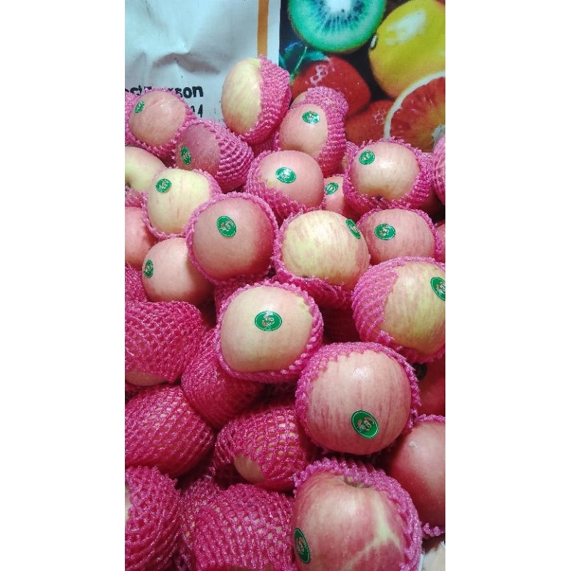 Jual Apel fuji 500g | Shopee Indonesia