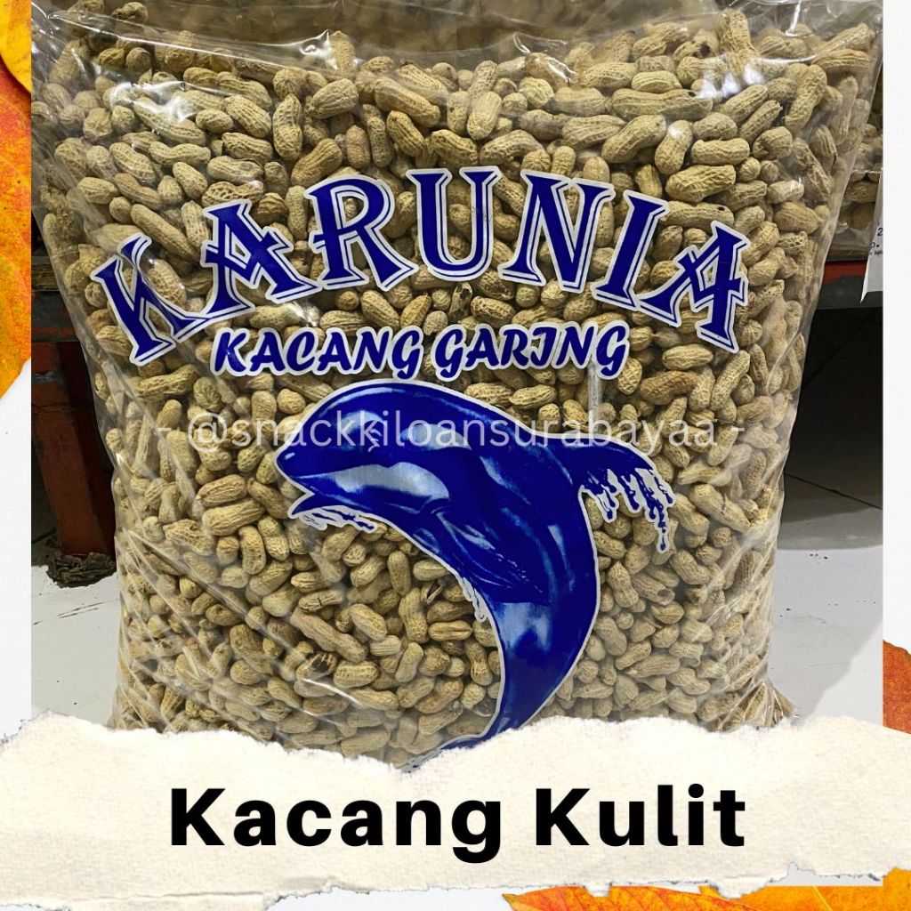 Jual Kacang Kulit 1 Ball ( 5 KG)/ Kacang Kulit Oven Asin Gurih/ Snack ...