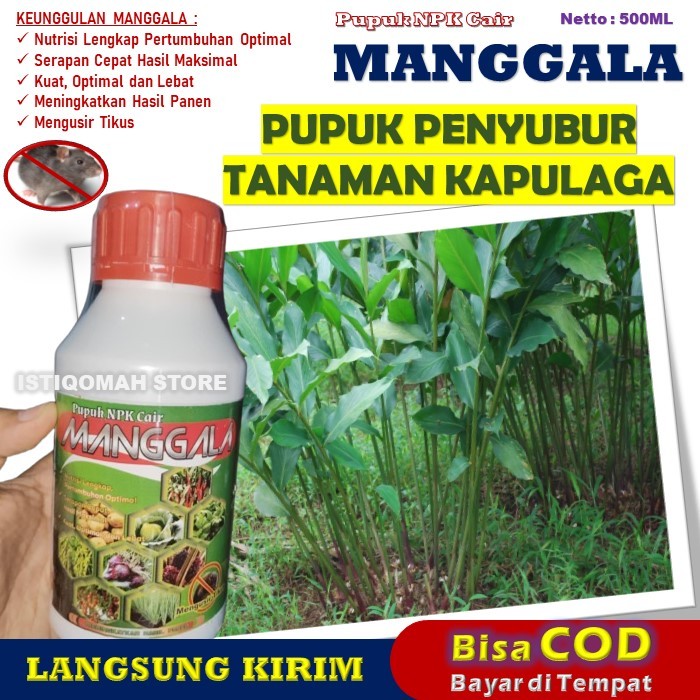 Jual Pupuk Penyubur Kapulaga MANGGALA NPK Cair 500ML - Pupuk Tanaman Kapulaga Terbaik, Murah ...