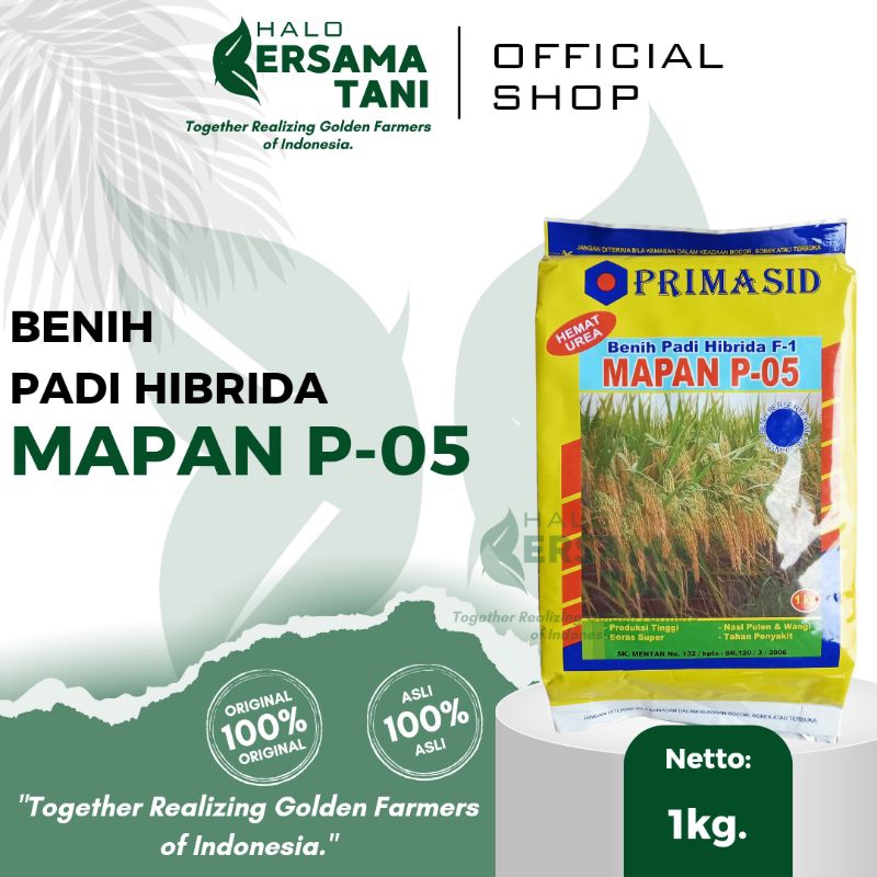 Jual [100% ORI] Benih Padi Hibrida MAPAN P-05 (1kg.) - Primasid ...