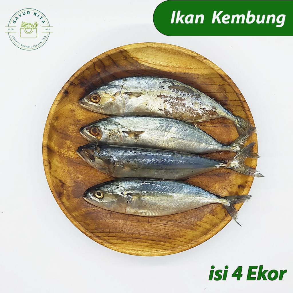 Jual Ikan Kembung Basah Segar Siap di Masak | Shopee Indonesia