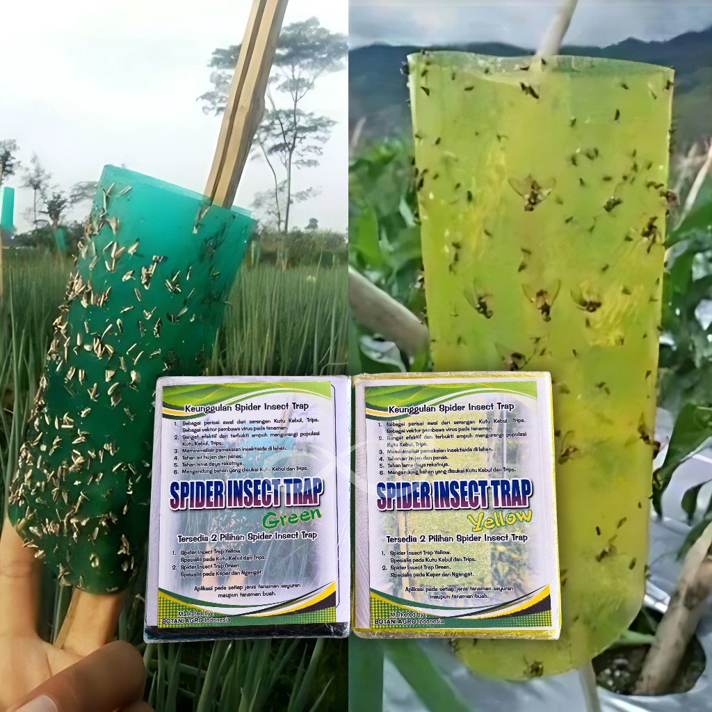 Jual Spider Insect Trap Perangkap Serangga Ampuh Atasi Kaper Lalat ...