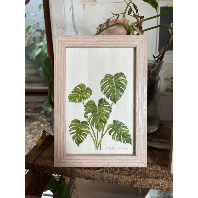 Jual Monstera Deliciosa Lukisan Tanaman Watercolor asli dengan frame 4R ...