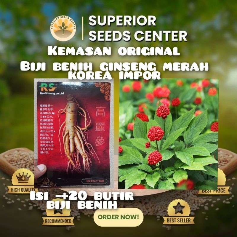 Jual KEMASAN ORIGINAL BIJI BENIH GINSENG MERAH KOREA IMPOR | Shopee ...