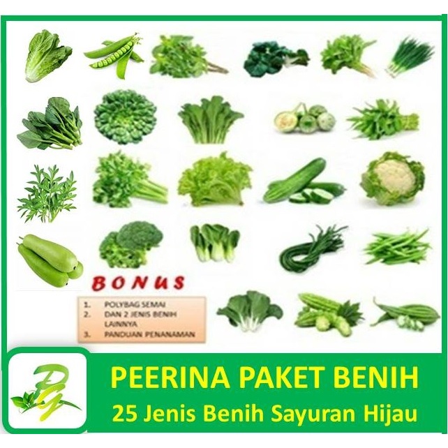 Jual PEERINA PAKET BENIH - Paket 25 Jenis Benih Sayuran Hijau-Sayuran Hidroponik-Sayuran ...