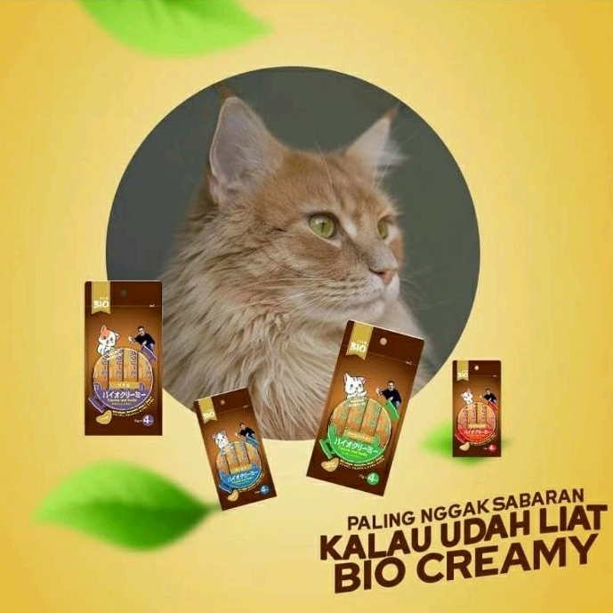 Jual BIO CREAMY SACHET 15GR ( ISI 4 PCS ) | Shopee Indonesia
