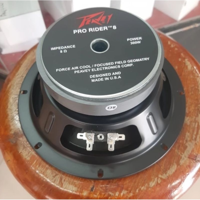 Jual SPEAKER PEAVEY 8 INCI PRO RIDER 300 WATT KOMPONEN | Shopee Indonesia