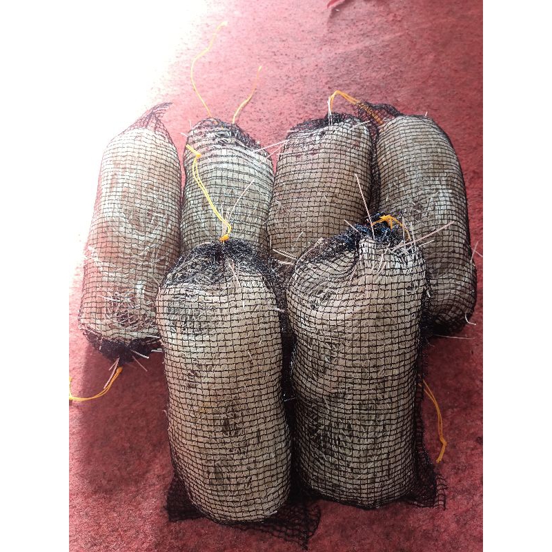 Jual Jaring nelayan media filter air aquarium kolam ikan | Shopee Indonesia