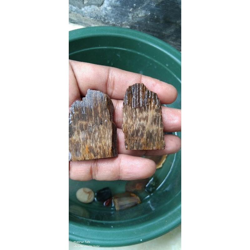 Jual Bahan batu akik jenis fosil kayu | Shopee Indonesia