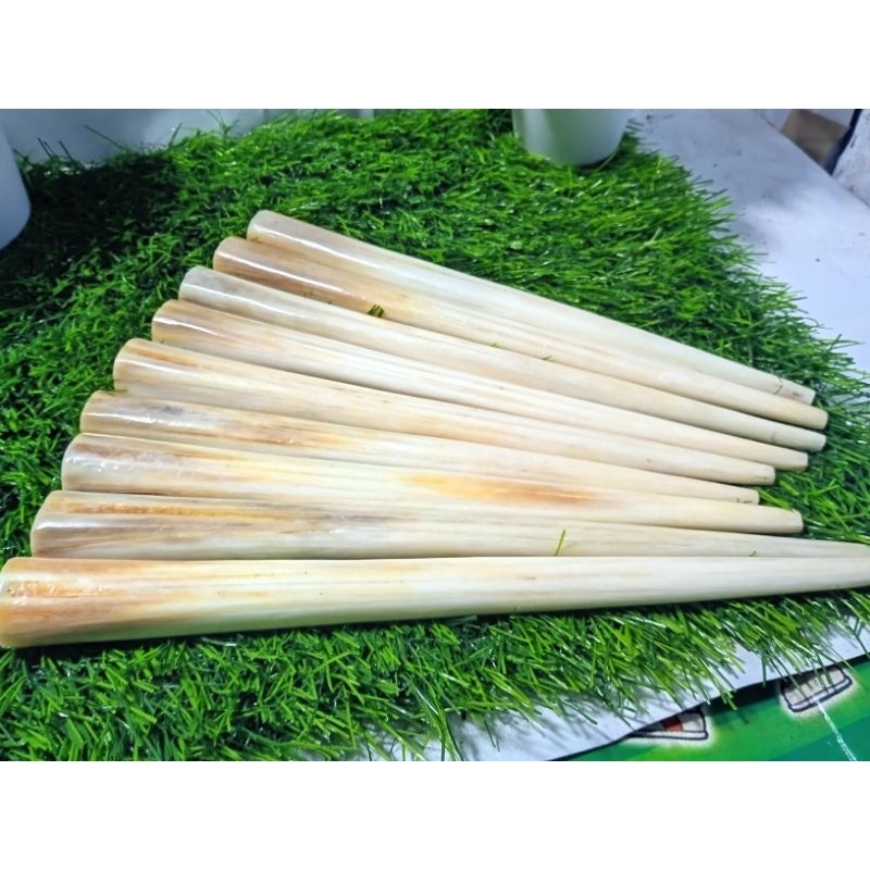 Jual Once moncong marlin | Shopee Indonesia