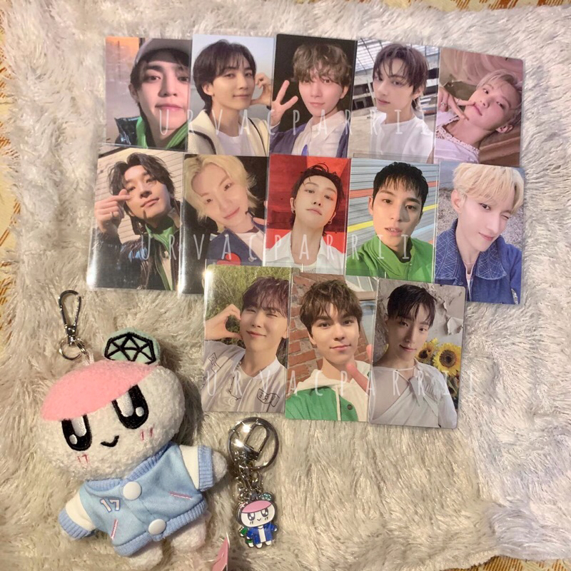 Jual Carat Membership Kit Seventeen Bongbongee Plushie | Shopee Indonesia