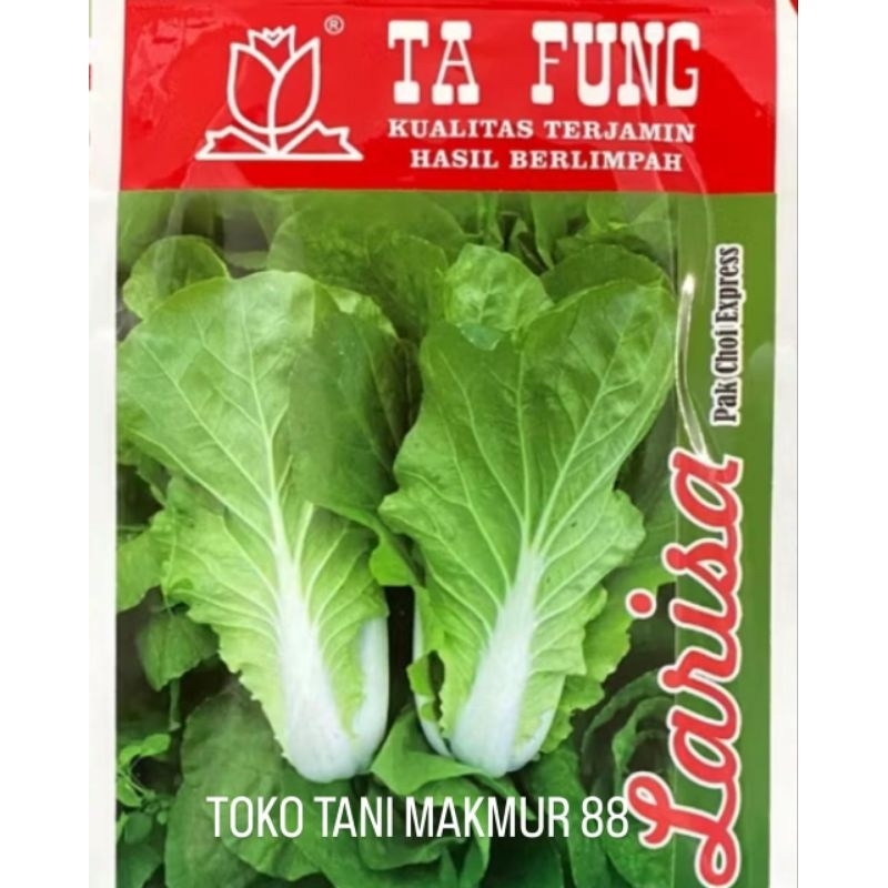 Jual Benih Sawi Larisa Pak Choi Express 10gr (4.200 Biji) Benih Sawi ...