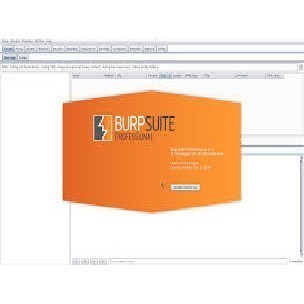 Jual Burp Suite Pro 2024.11 (FLASHDISK) | Shopee Indonesia