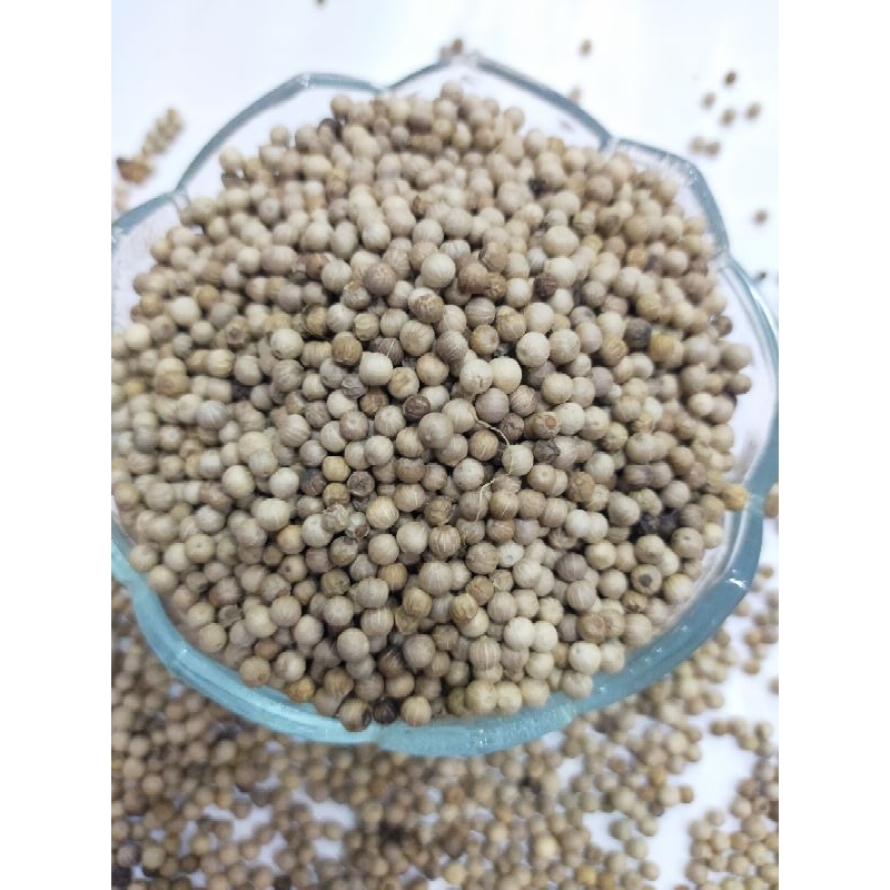 Jual MERICA Atau Lada Putih Butir 1 kg | Shopee Indonesia