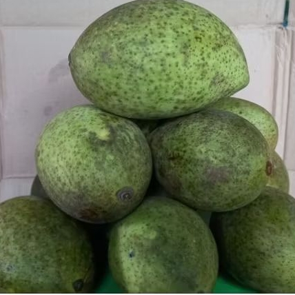 Jual 1Kg MANGGA KUENI /MANGGA KWENI/MANGGA PAKEL mangga dengan aroma ...