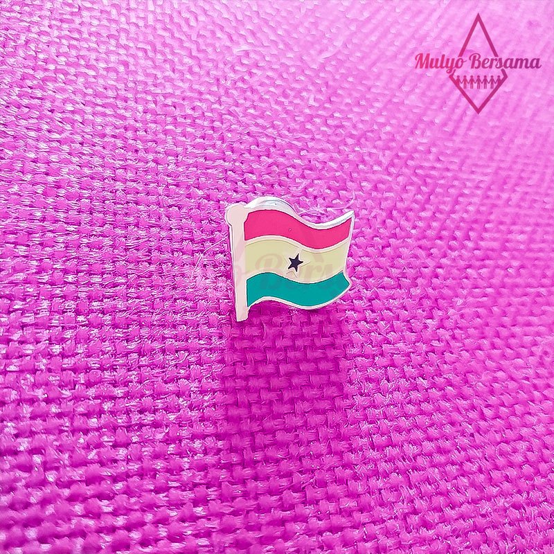 Jual Pin Flag Ghana Pin Bendera Negara Ghana - Mulyo Bersama | Shopee ...