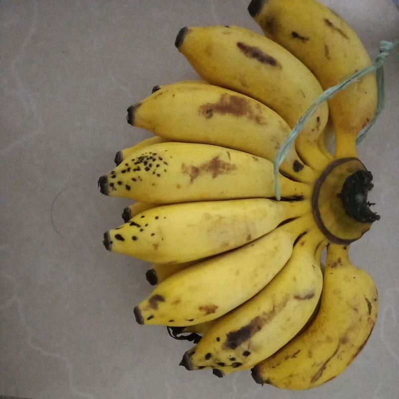 Jual PISANG SUSU 1 SISIR | Shopee Indonesia