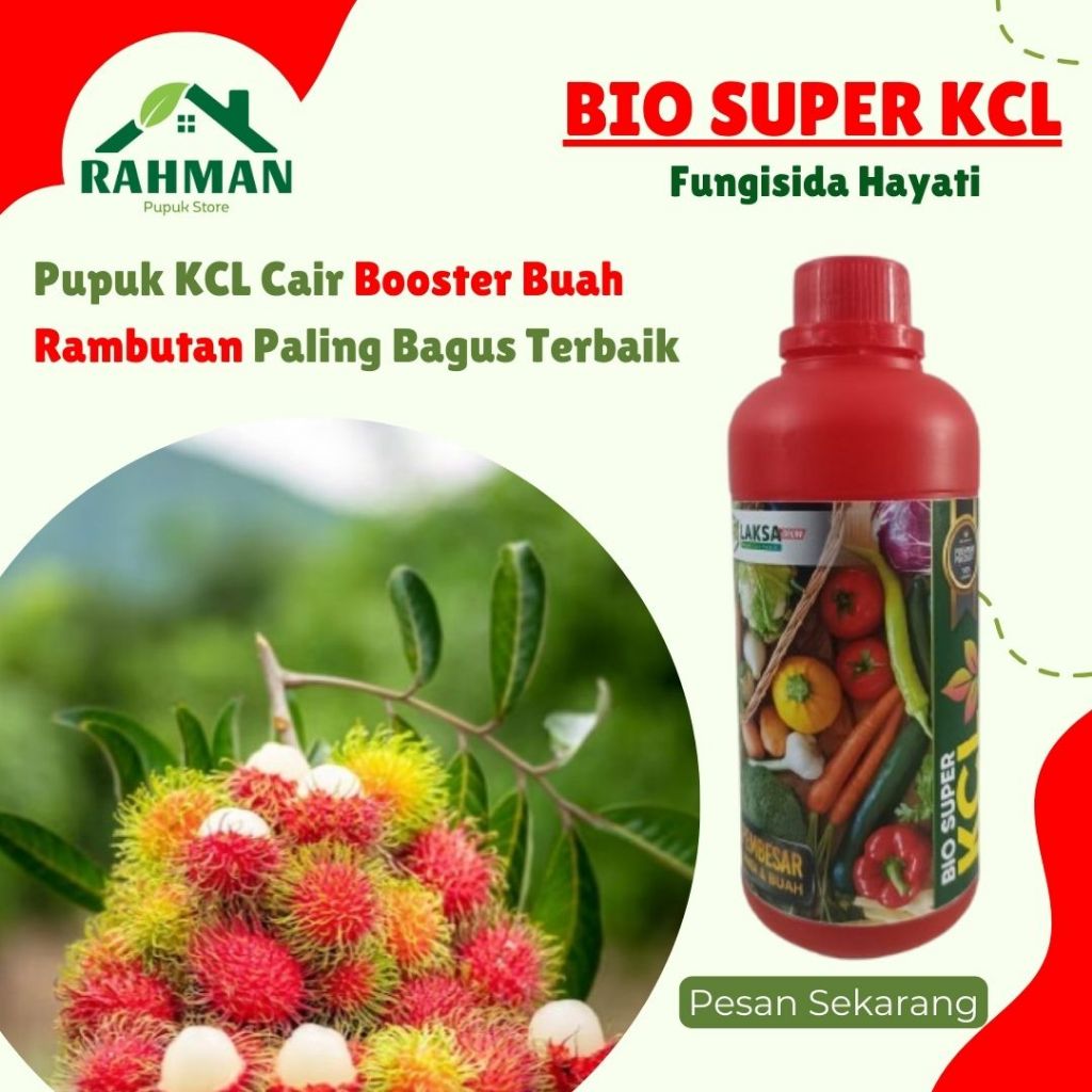 Jual OBAT PENYUBUR BUAH RAMBUTAN - BIO KCL 500ML - Pupuk rambutan berbuah besar dan manis anti ...