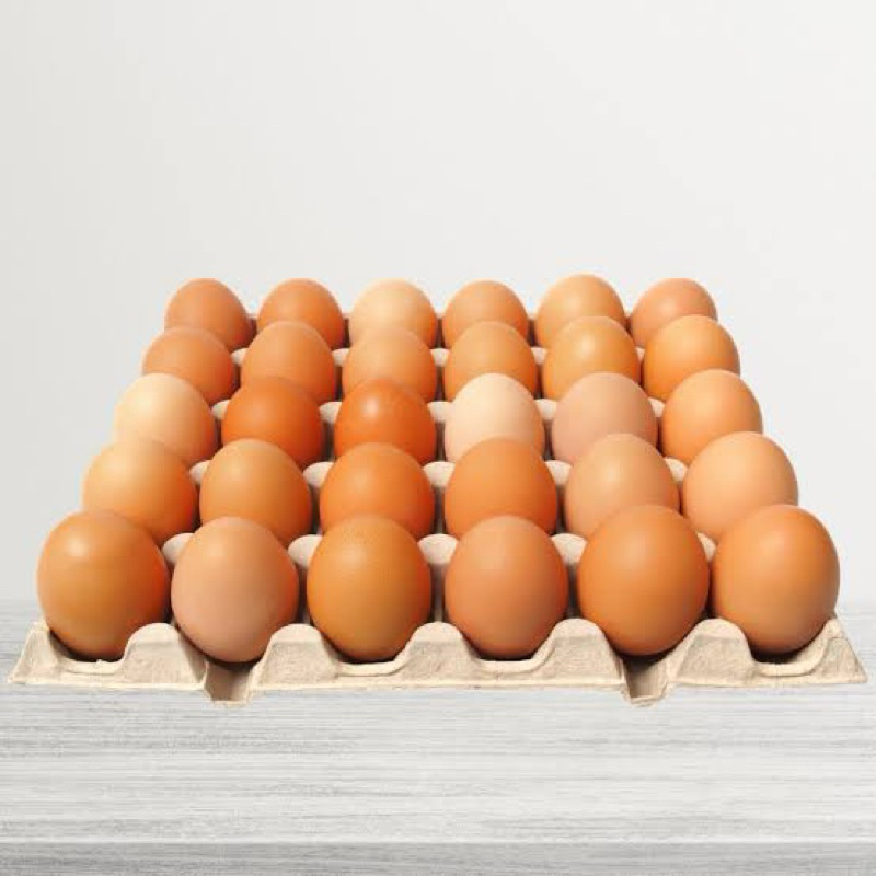 Jual TELUR AYAM RAS FRESH KANDANG TIAP HARI | Shopee Indonesia